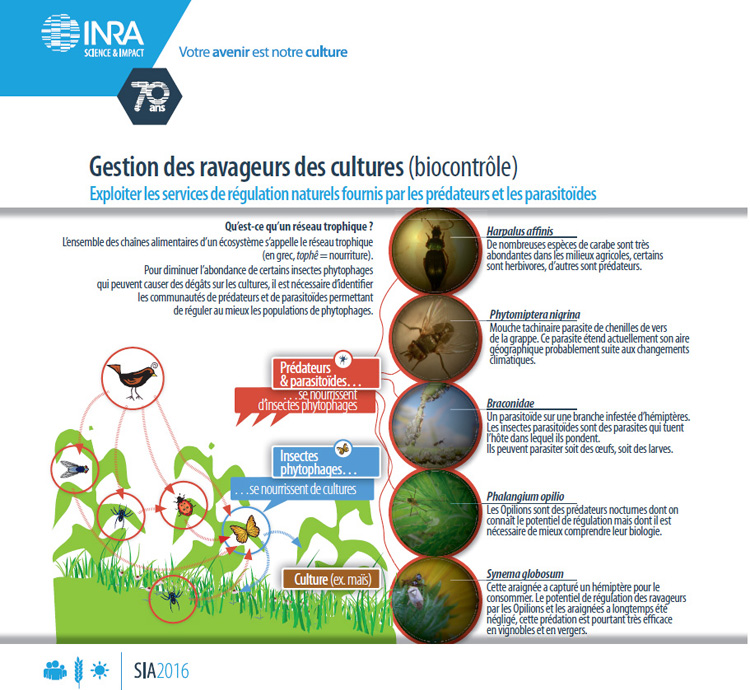 biocontrole-70ans